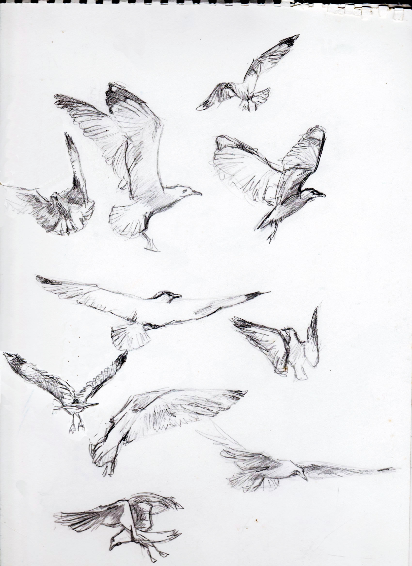 Tous les articles – Fran Zainal